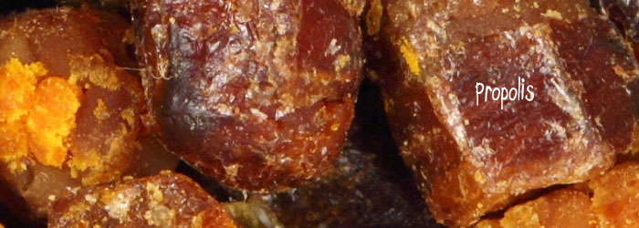 Propolis | Mielandco.com